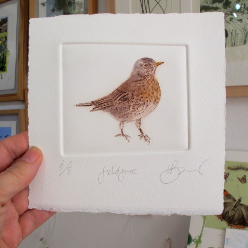 Fieldfare Drypoint Bird. Fine Art Thrush. Winter Migrant. - Etsy