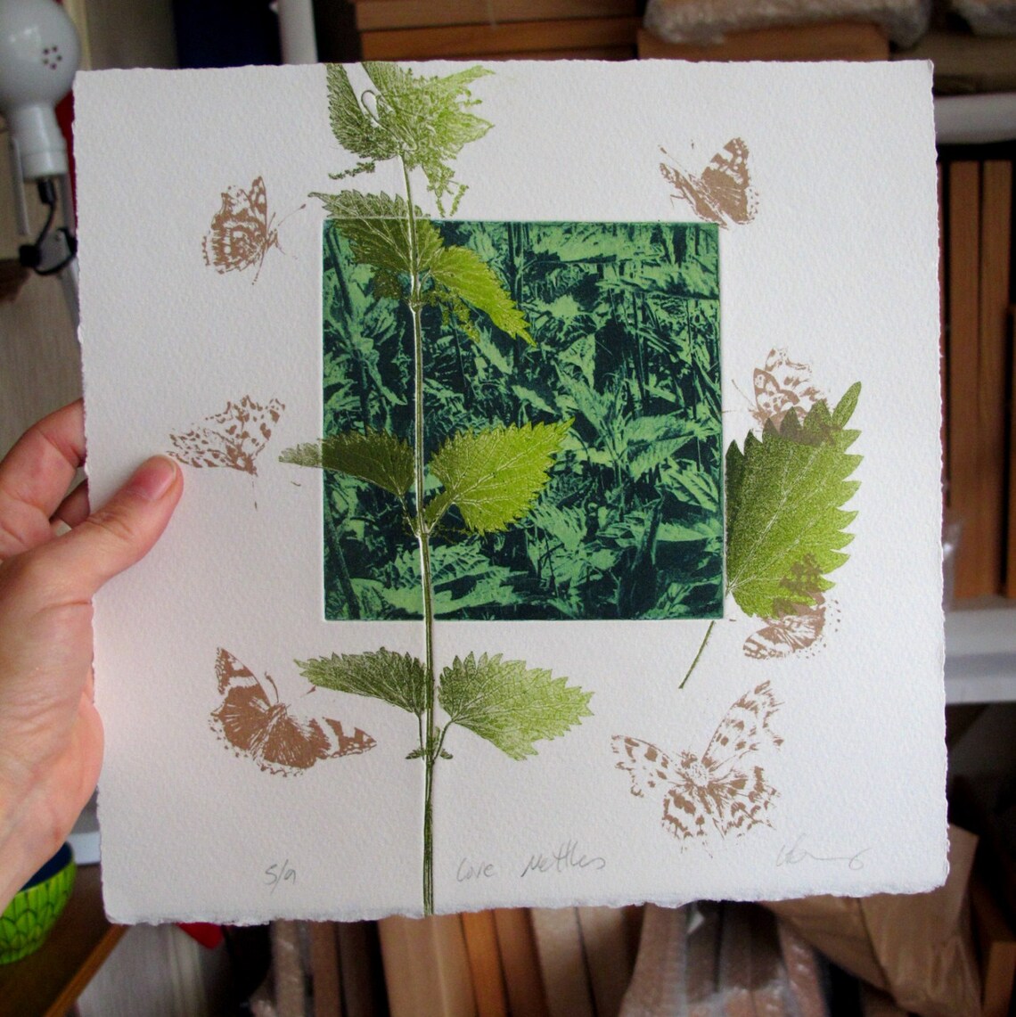 Butterflies Love Nettles. Photo Etching Mono Print With Screenprint ...