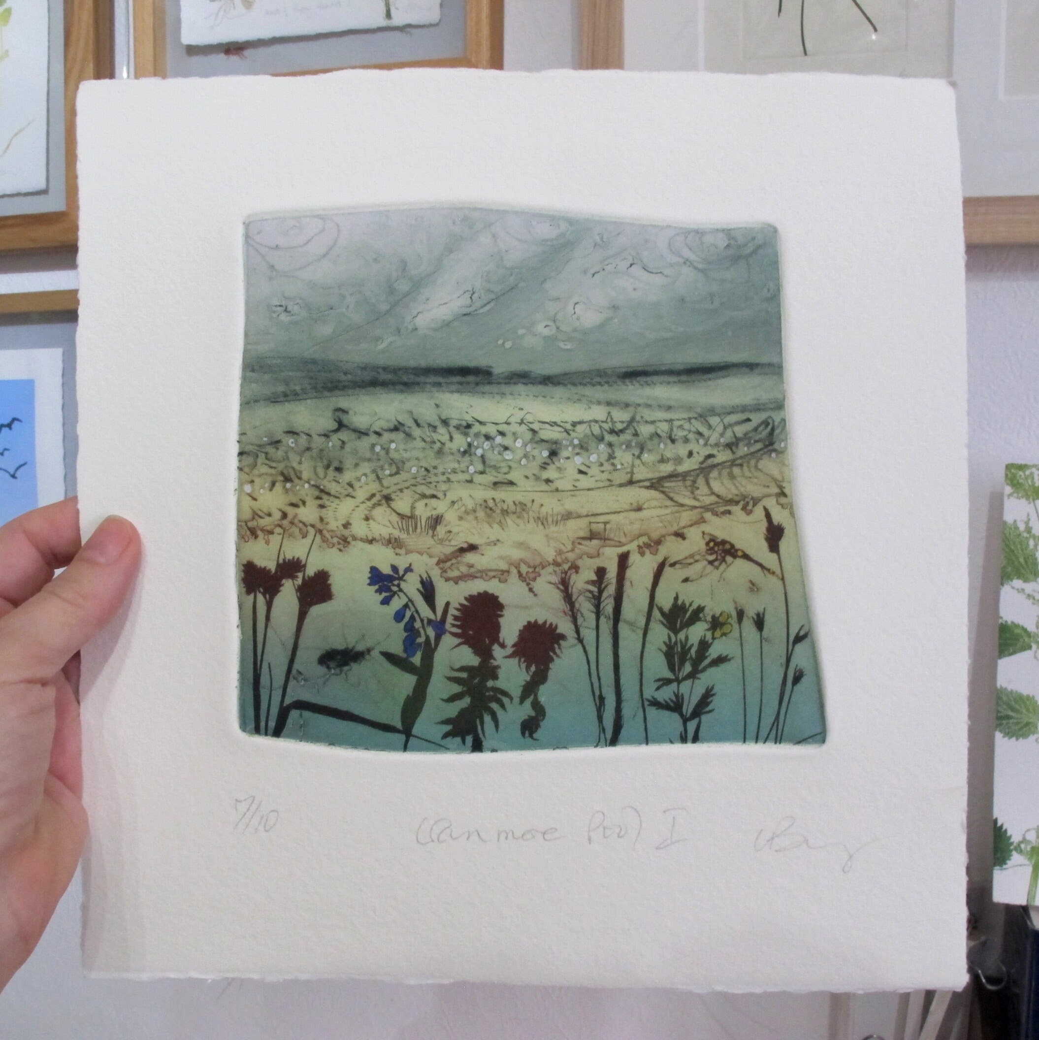 Cranmere Pool, Dartmoor Devon. Landscape Art of Devon Wildlife ...