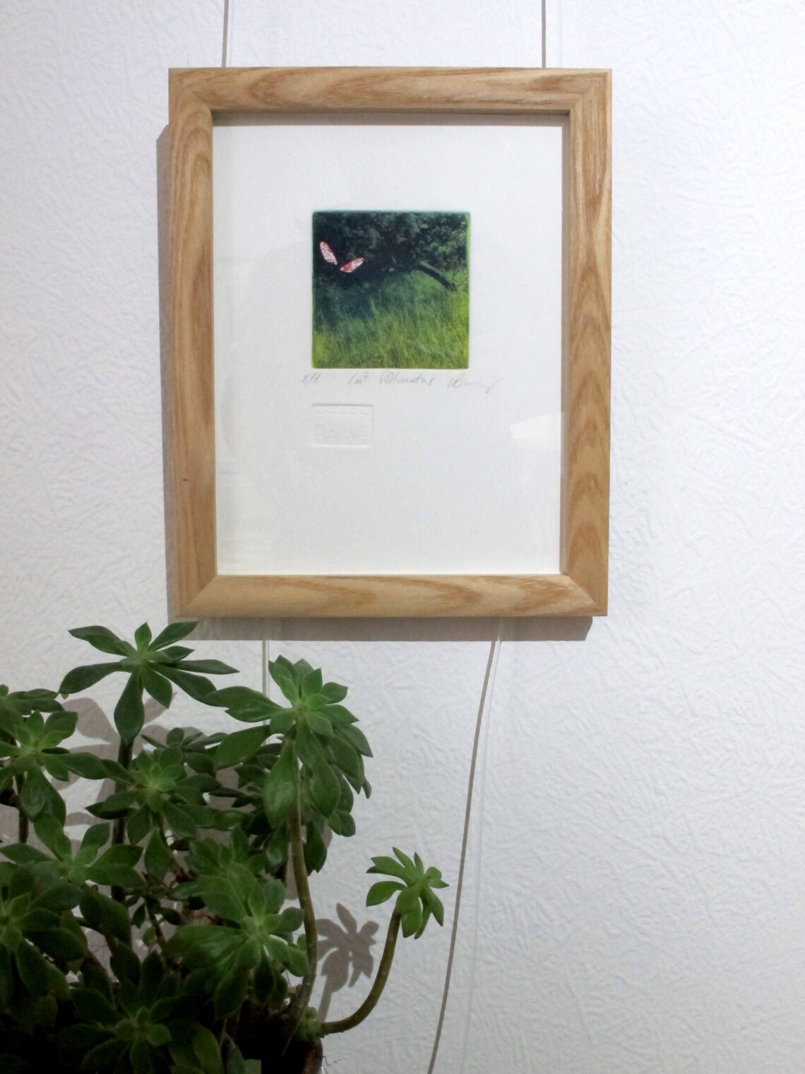 Apple Tree, Bees Wings, Photo Etching Mono Print. Hand Pulled Print ...