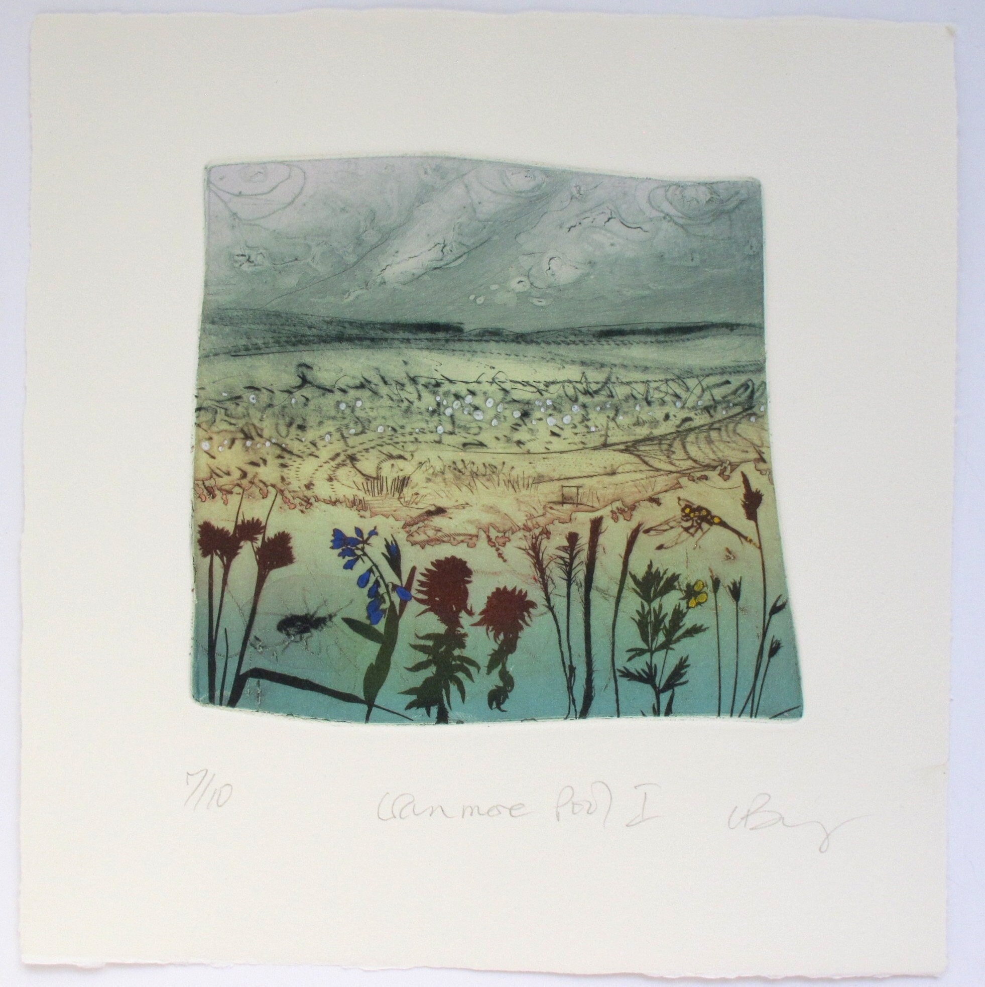 Cranmere Pool, Dartmoor Devon. Landscape Art of Devon Wildlife ...