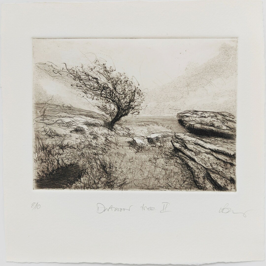 Árbol de Dartmoor azotado por el viento. Edición limitada. - Etsy España