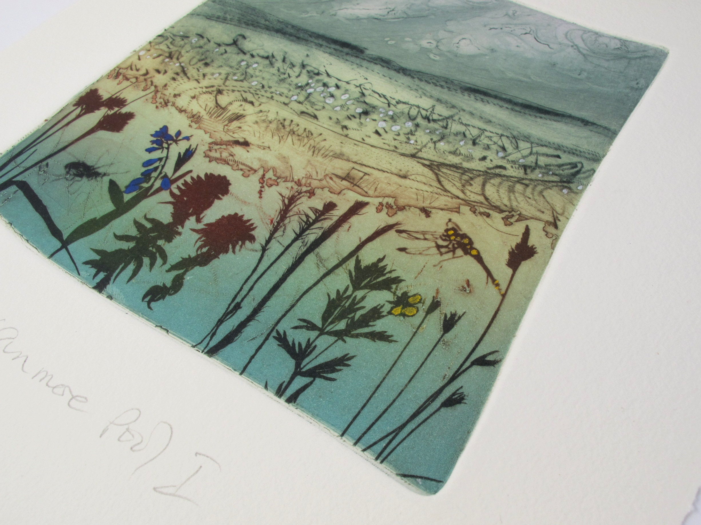 Cranmere Pool, Dartmoor Devon. Landscape Art of Devon Wildlife ...