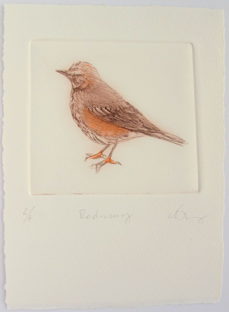 Drypoint Bird. Limited Edition Fine Art Print. Redwing. Winter Migrant ...