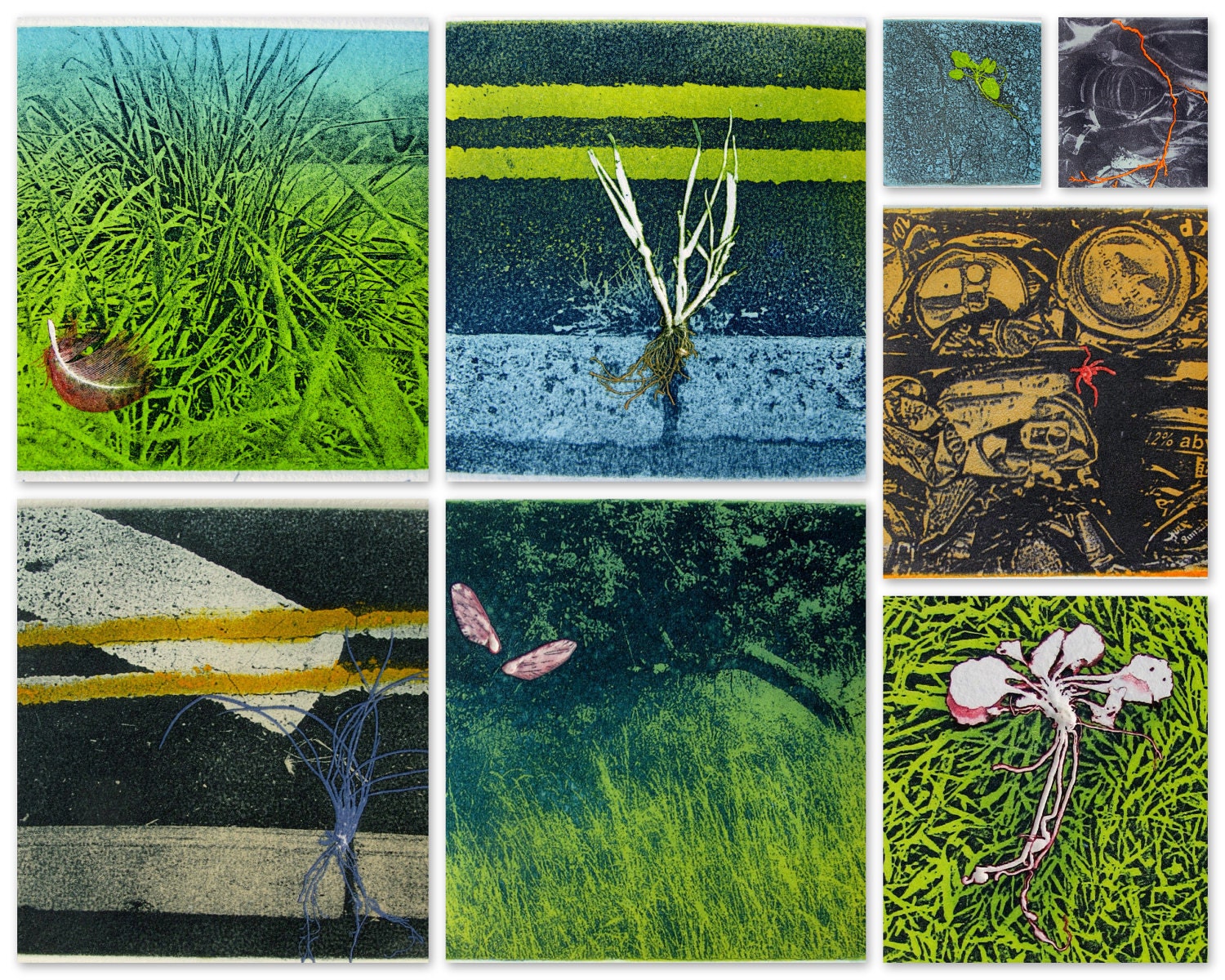 Fine Art Landscape / Feather Print. Photo Etching Mono Print.. - Etsy