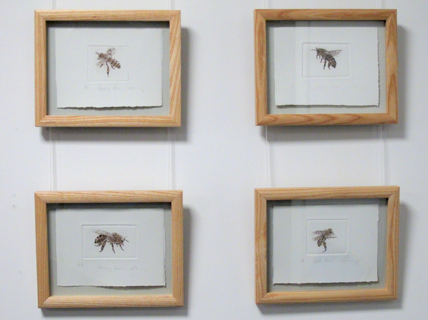 Little Bee. Drypoint Honey Bee Print - Etsy