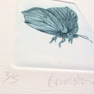 Drypoint Brimstone Butterfly. Cute Little Bug. Hand Printed on an ...