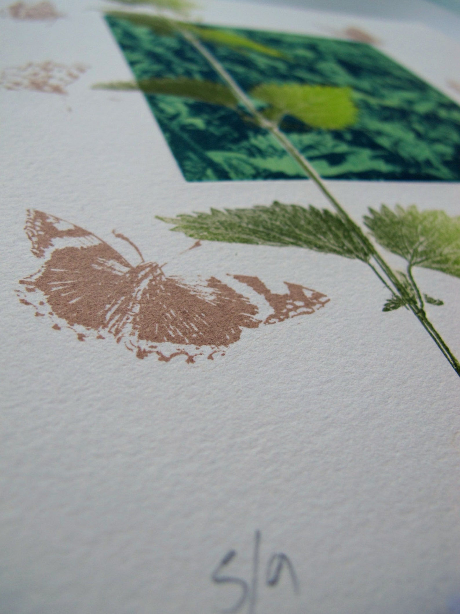 Butterflies Love Nettles. Photo Etching Mono Print With Screenprint ...