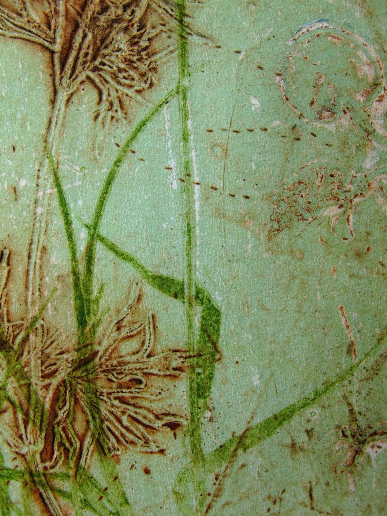 Botanical Print. Collograph Mono Print. Wild Flower. Hand Printed OOAK ...
