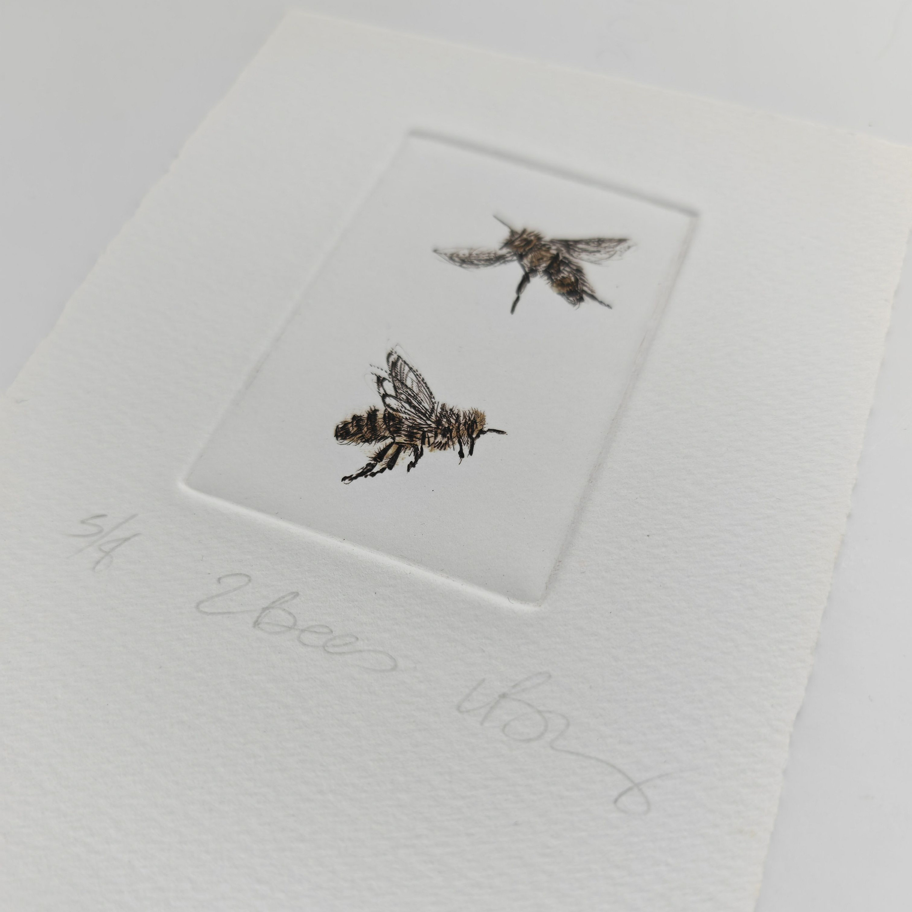 2 Little Honey Bees. Drypoint Etching. - Etsy