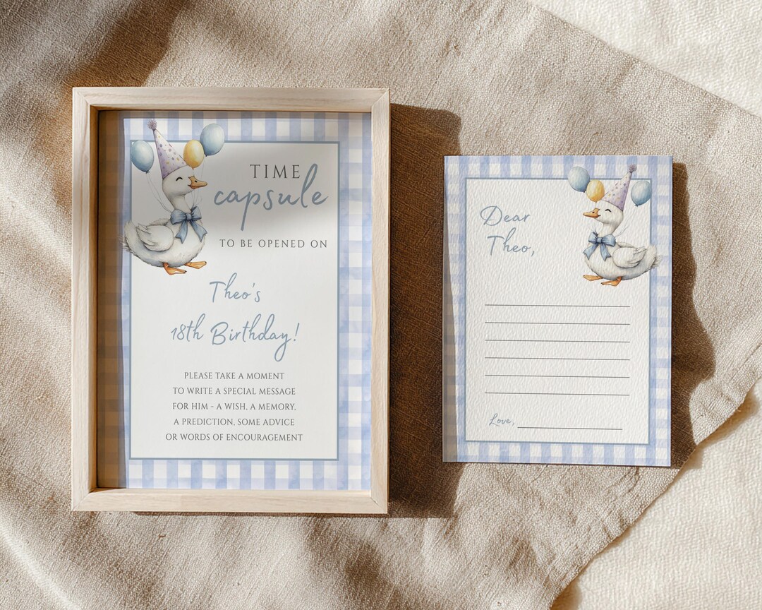 Silly Goose Time Capsule Sign & Note Card, Boys First Birthday Party ...