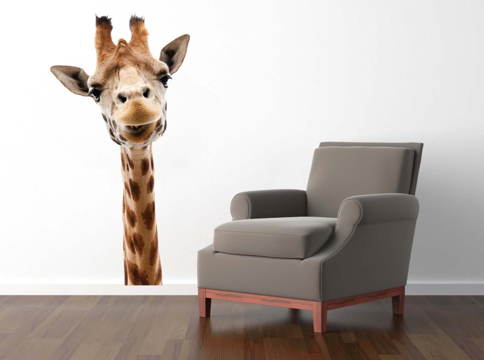 Giraffe Wall Decal Zoo Animal Decal Giraffe Photography - Etsy