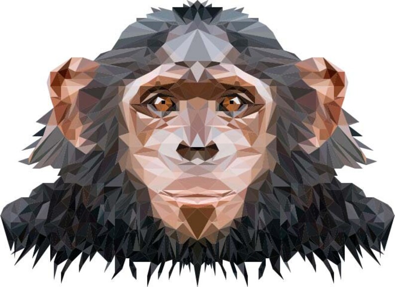 Monkey Polygonal Art Abstract Print Monkey Art Symmetric - Etsy