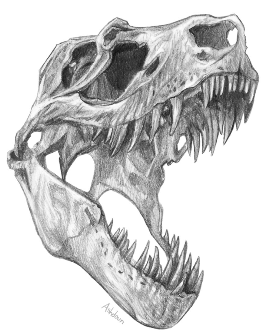 Custom Order for Matthew Higgins, Dino Head