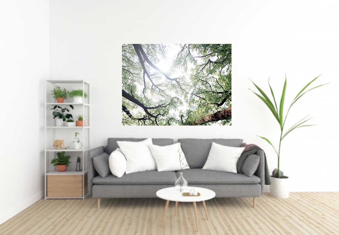 Tree Canopy Wall Decal: Serene Forest Photo, Calming Room Decor - Etsy