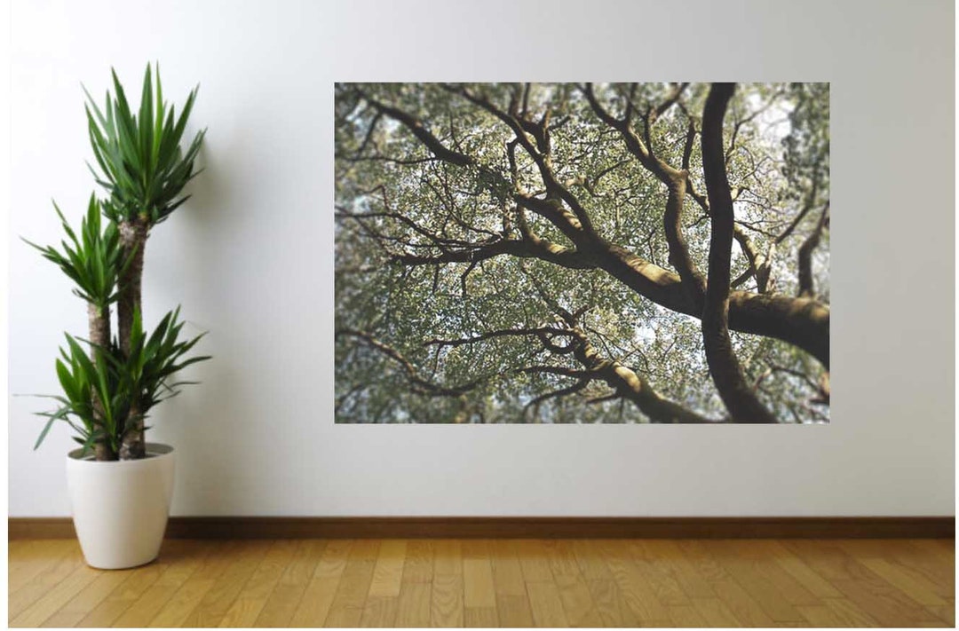 Tree Wall Decal, Tree Canopy, Nature Scape, Serene Tree Decal, Tree ...