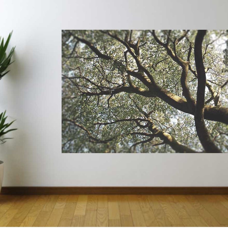 Tree Canopy - Etsy