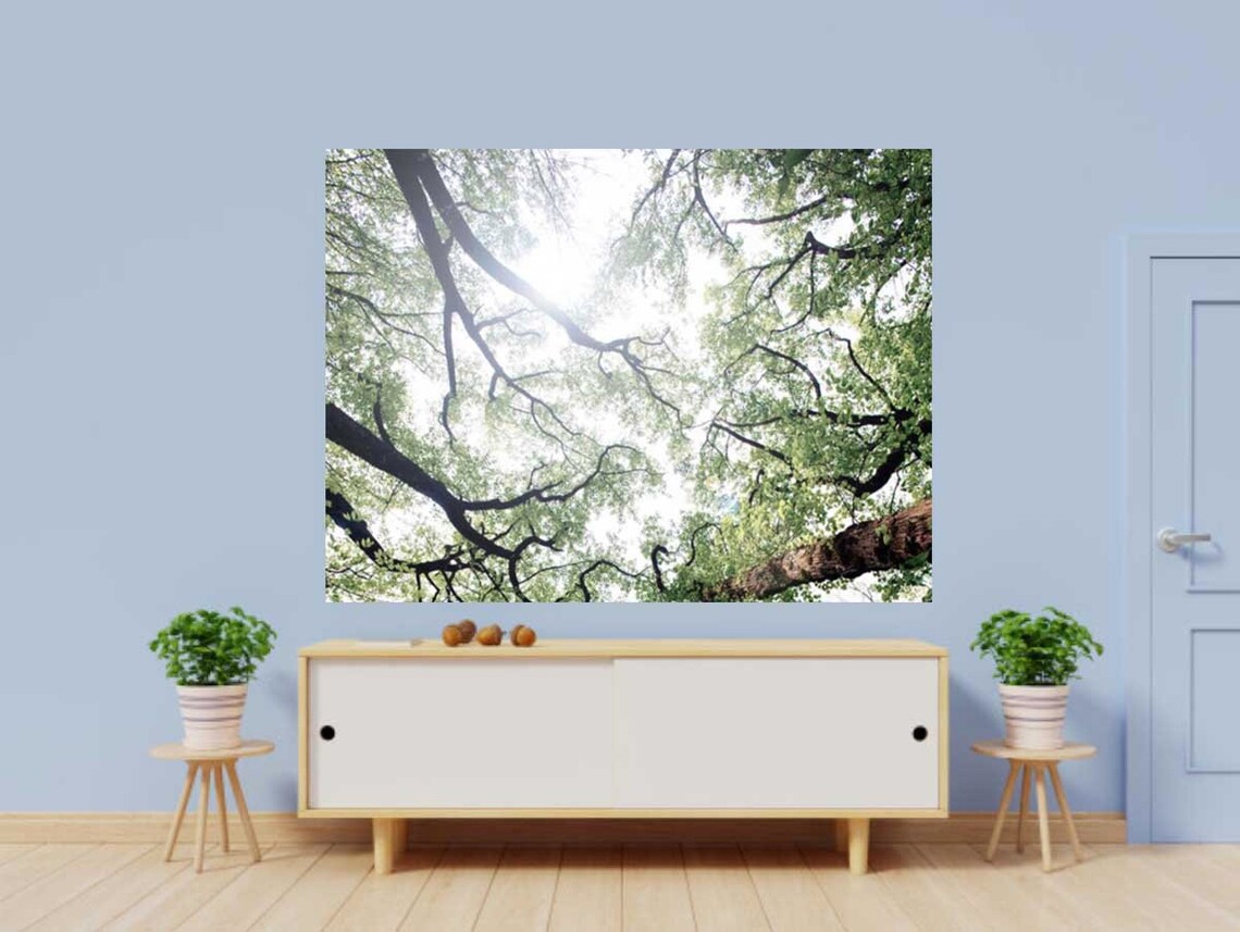 Tree Canopy Wall Decal: Serene Forest Photo, Calming Room Decor - Etsy