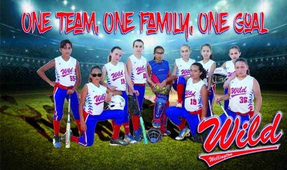 Custom Sports Banners, Vinyl Sports Banners, Personalized Team Banners ...