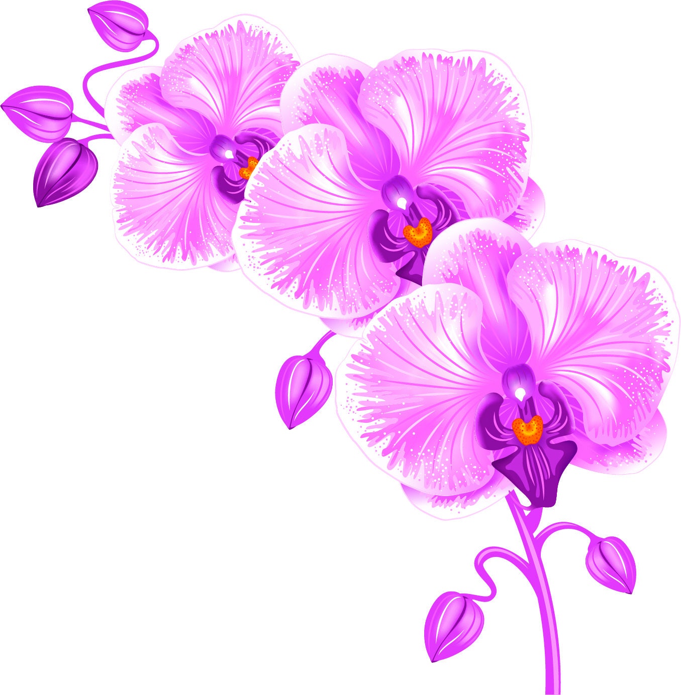 Pink Orchid Decal Orchid Wall Sticker Floral Wall Decor | Etsy