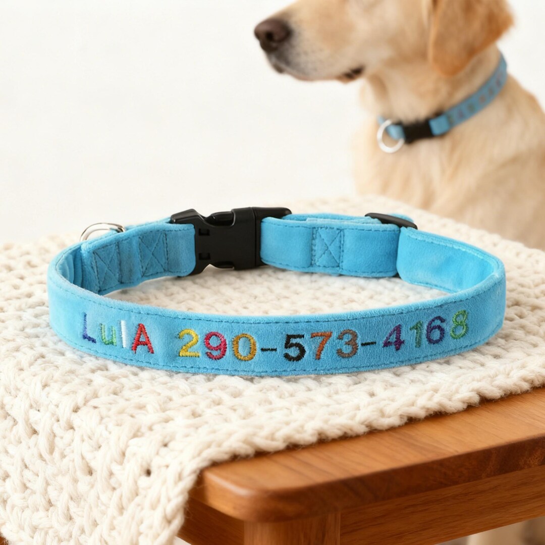 Multiple Colour Velvet Personalise Dog Collar Leash Set – Adjustable ...