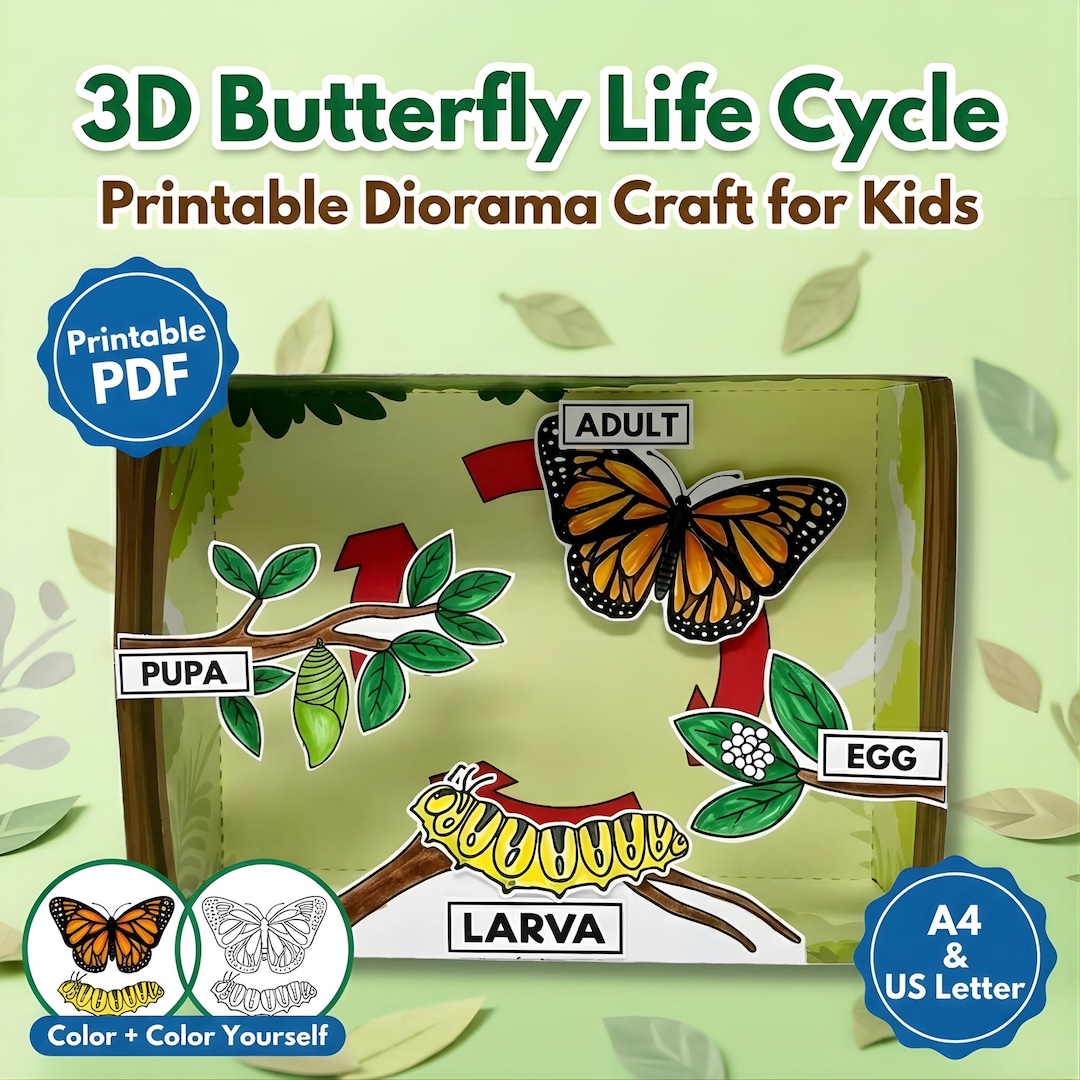 3D Butterfly Life Cycle Diorama Craft, Printable Science Activity (PDF ...