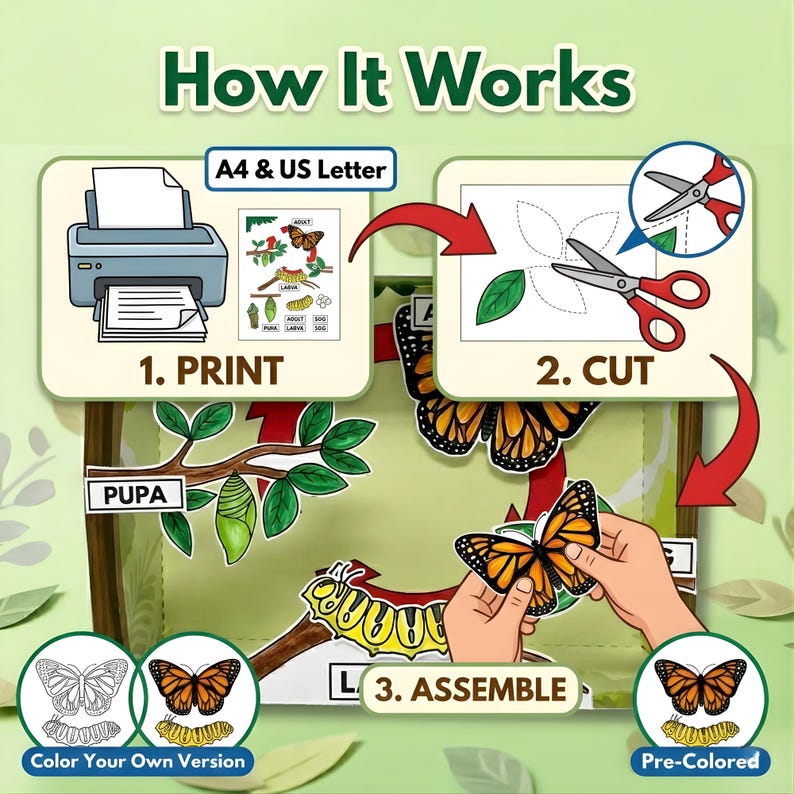 3D Butterfly Life Cycle Diorama Craft, Printable Science Activity (PDF ...