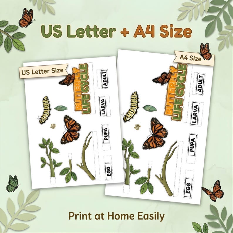 3D Butterfly Life Cycle Diorama Craft, Printable Science Activity (PDF ...