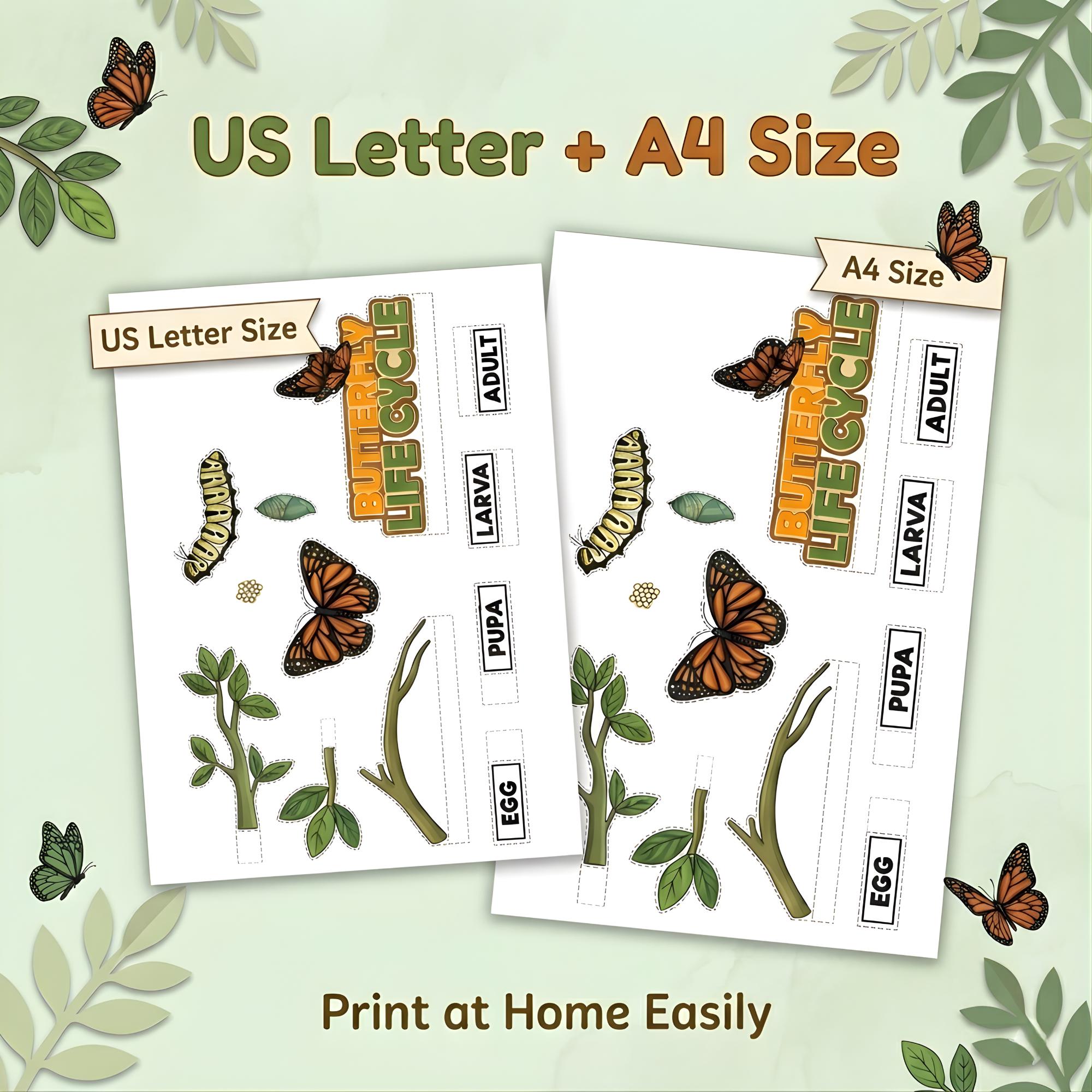 3D Butterfly Life Cycle Diorama Craft, Printable Science Activity (PDF ...