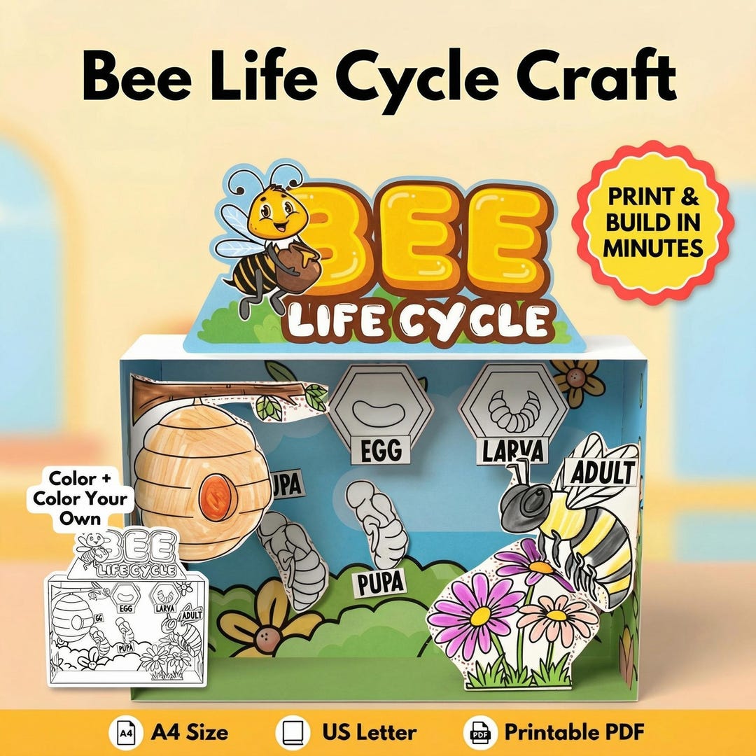 Bee Life Cycle 3D Craft Diorama, Spring Science Activity for Kids ...