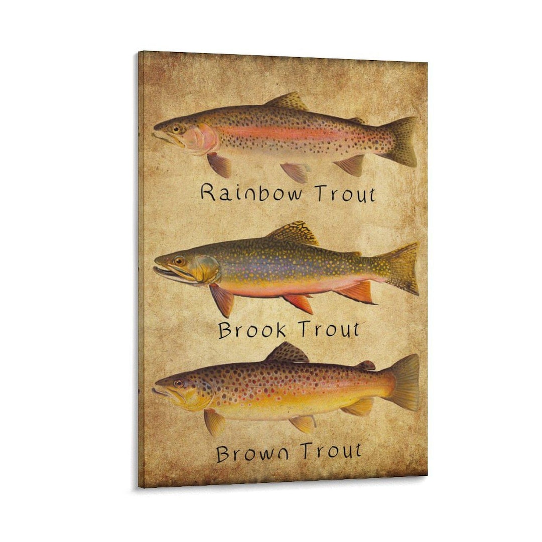 Rainbow Trout Brook Trout Brown Trout Wall Art Picture Painting Poster ...