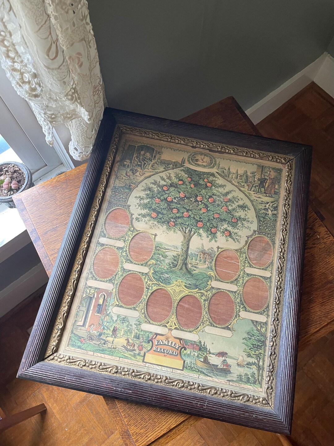 Antique Framed "family Record" Tree- 1800's Unused Family Tree ...