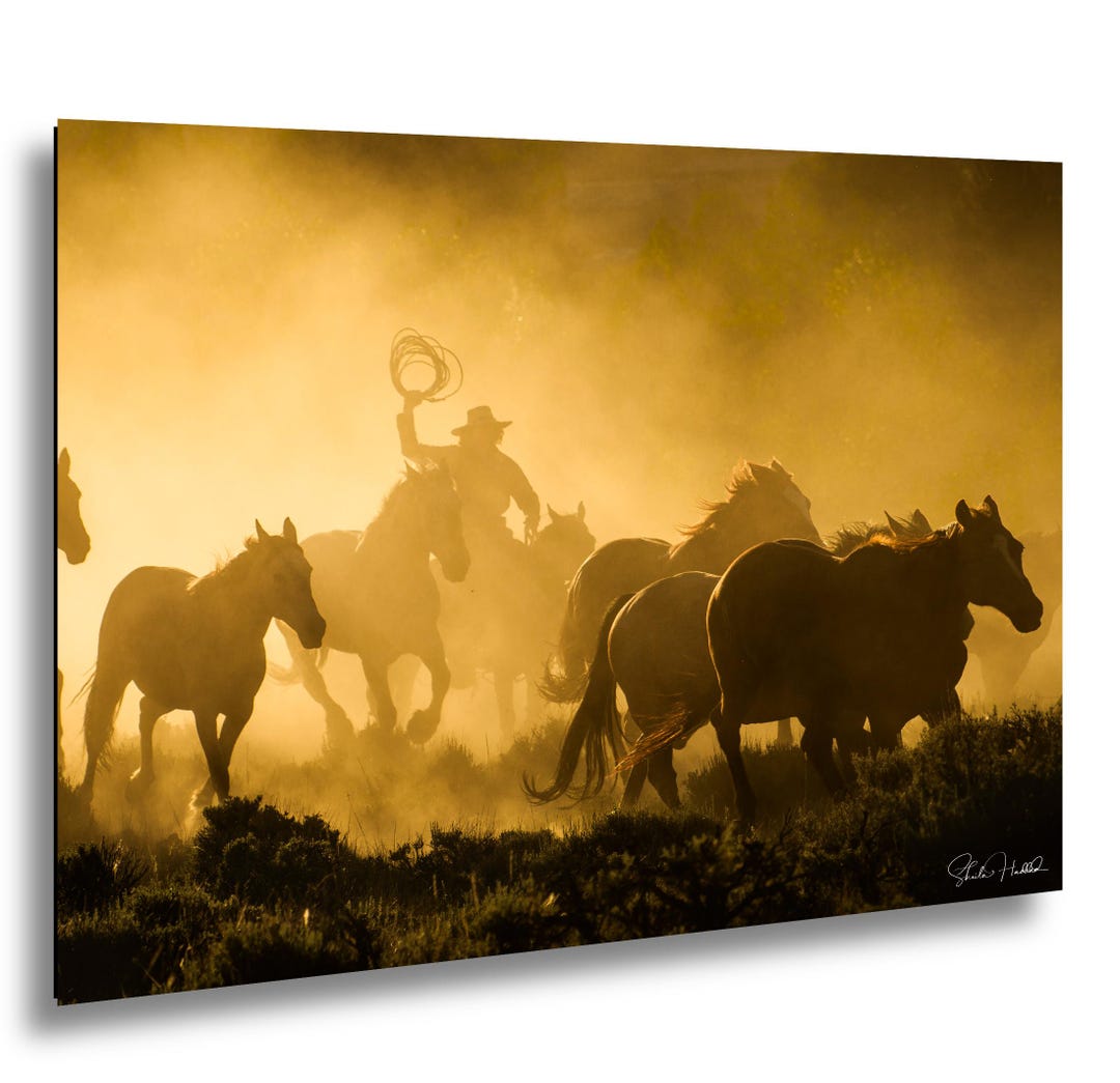 Cowboy Herding Horses Wyoming Ranch Early Morning Western Photo Print ...