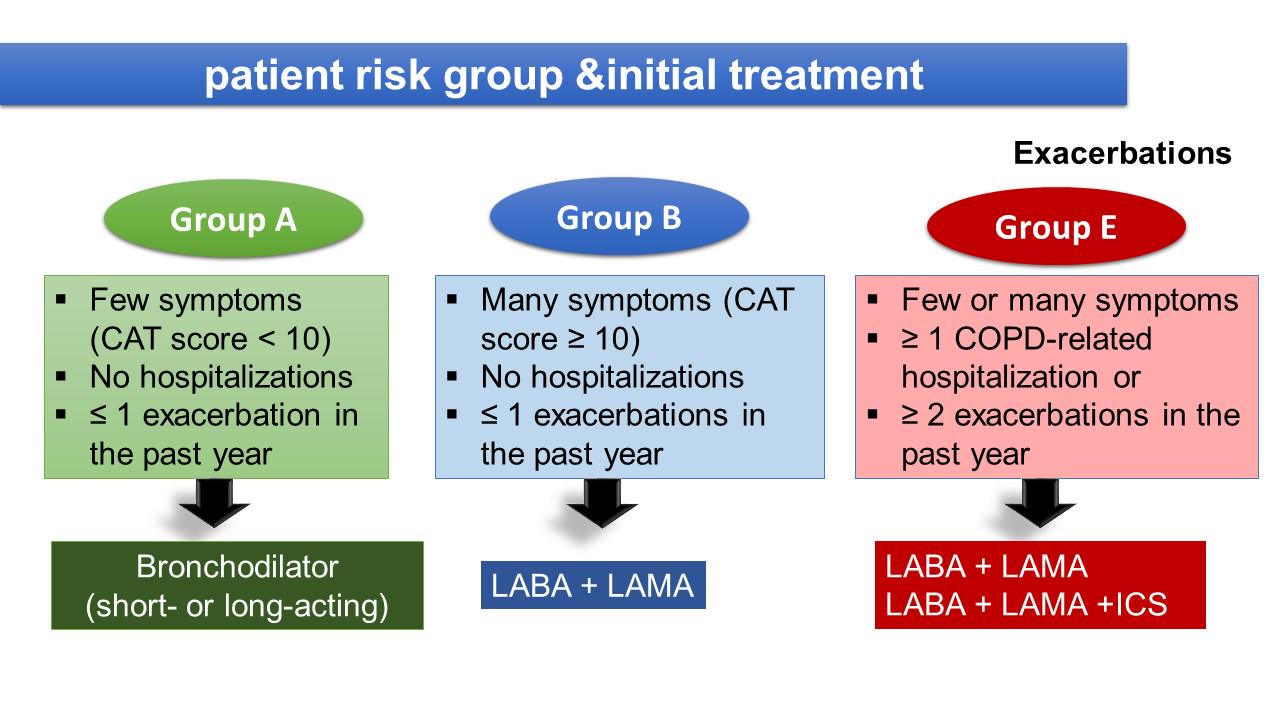COPD Bronchodilator Selection Powerpoint | for Medical Professionals ...