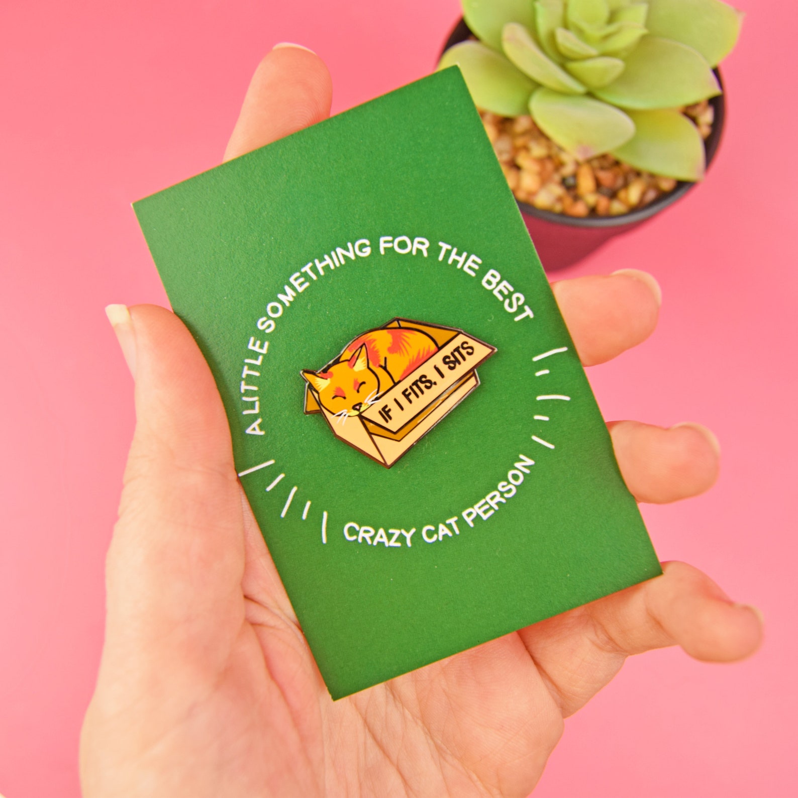 If I Fits I Sits Ginger Cat Pin Badge • Cute Cat in Box Enamel Pin ...