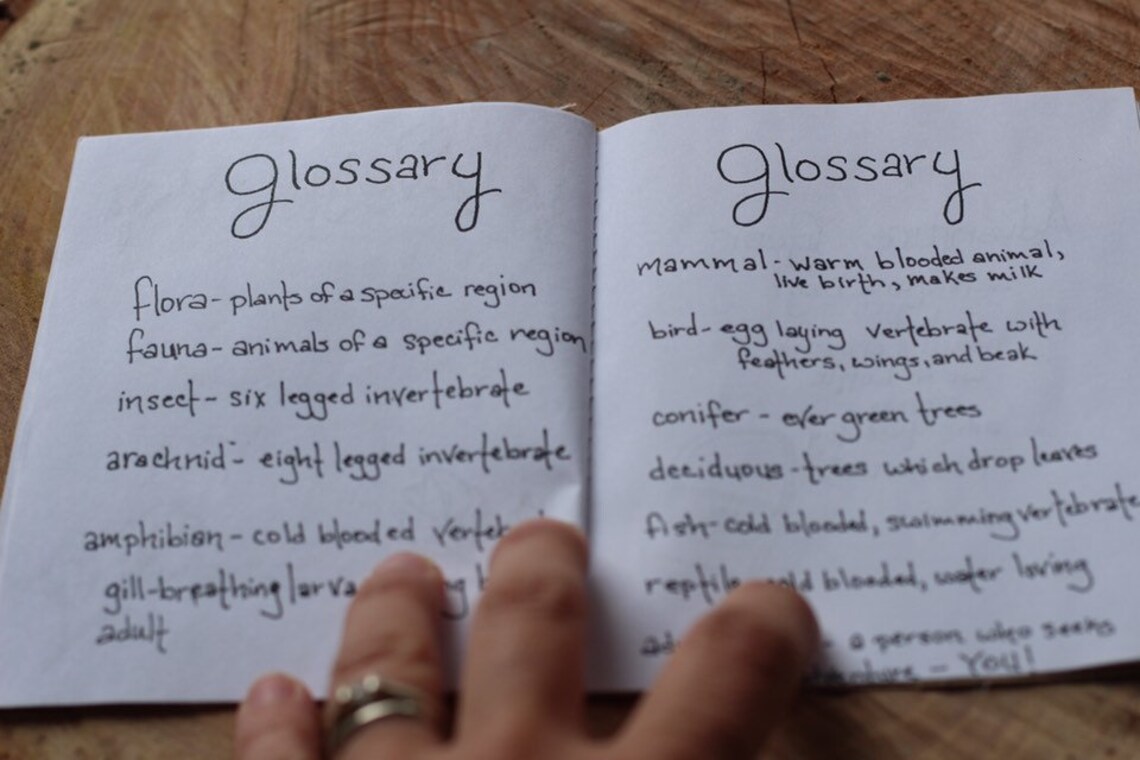 Adventure Log Nature Journal Notebook Kids Notebook Kids - Etsy