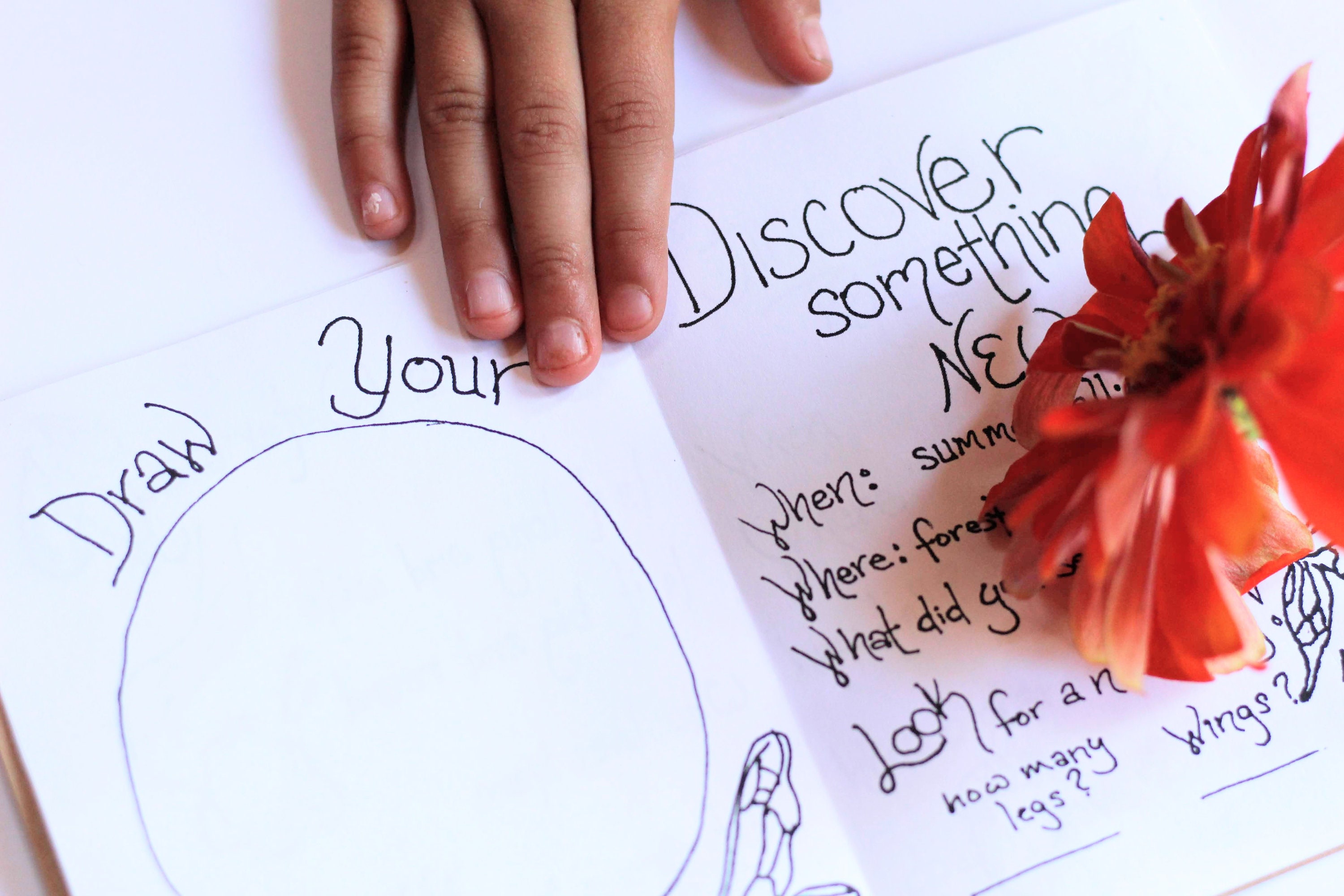 Adventure Log Nature Journal Notebook Kids Notebook Kids Nature Journal ...