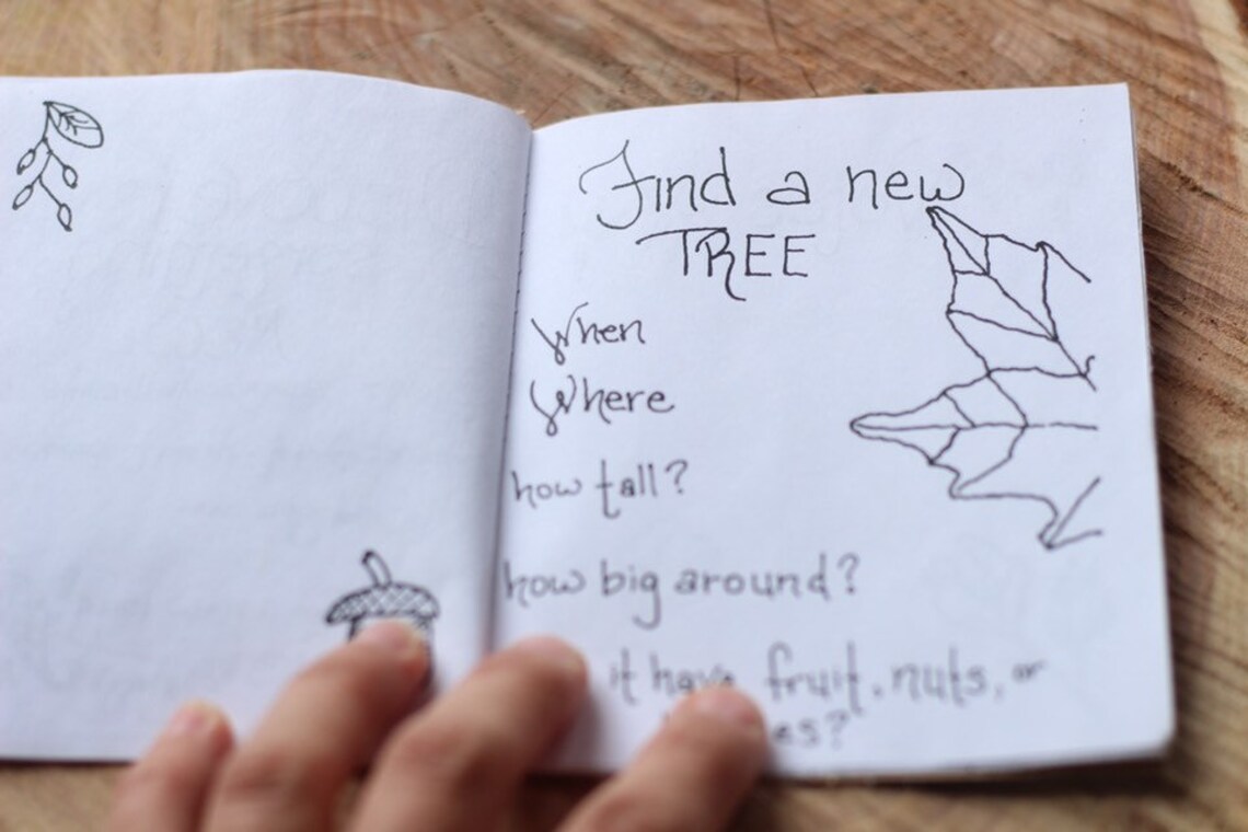 Adventure Log Nature Journal Notebook Kids Notebook Kids - Etsy