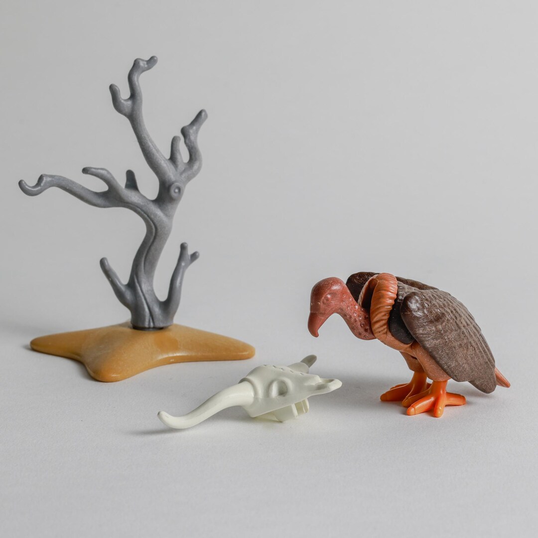 Vintage Playmobil Vulture With Desert Accessories – Western Buzzard ...