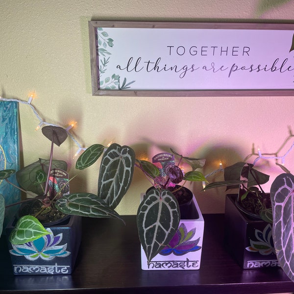 Anthurium Michelle X Doc Block - Etsy