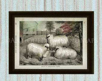 Sheep poster | Etsy