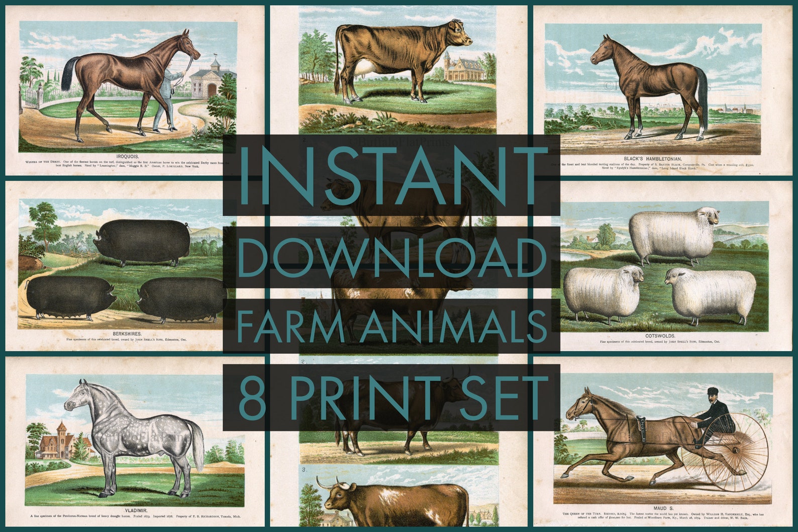 INSTANT DOWNLOAD 8 Print Set Arm Animal Prints Pig Sheep Cows Horses ...