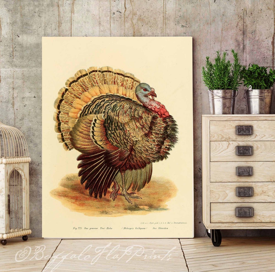 POSTER PRINT Thanksgiving Turkey Poster Print Wild Turkey Hunting Fall ...
