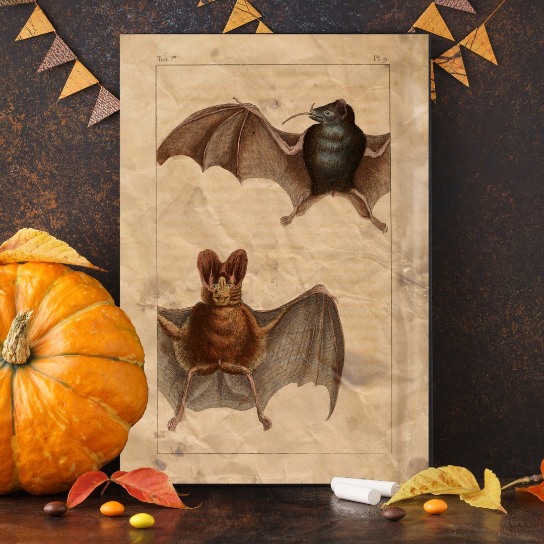 POSTER PRINT Spooky Bats Halloween Bats Wall Art Vintage Halloween ...