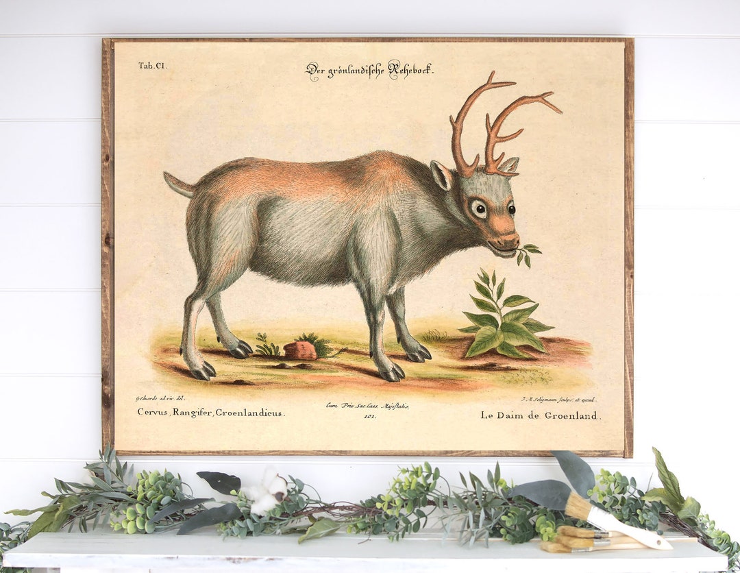 INSTANT DOWNLOAD Greenland Reindeer Caribou Poster Print Christmas ...