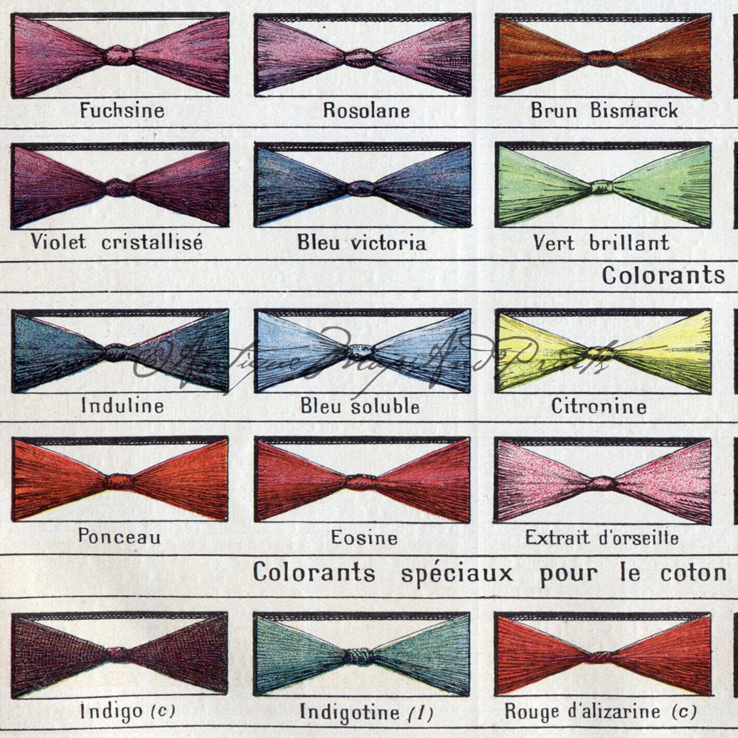 INSTANT DOWNLOAD Color Theory ROYGBV Spectrum Graphic Artist Gift ...