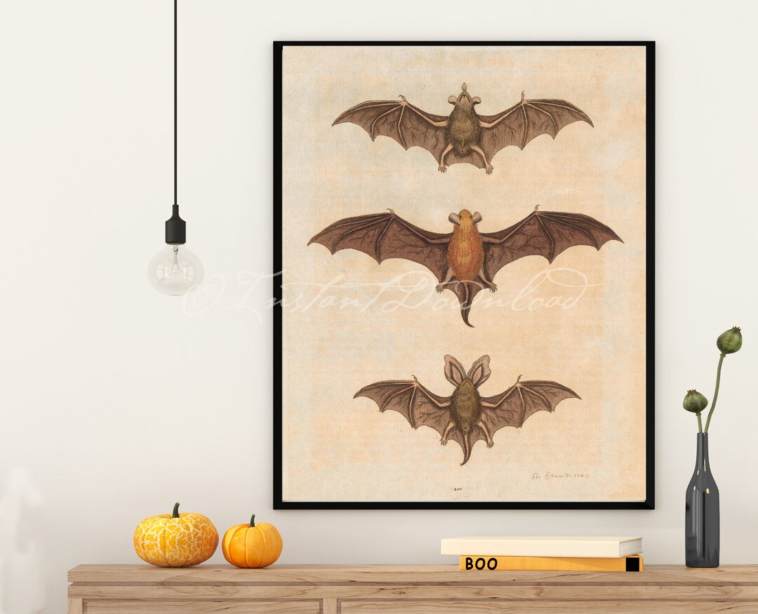 INSTANT DOWNLOAD 3 Spooky Bats Halloween Bats Poster Print Vintage ...