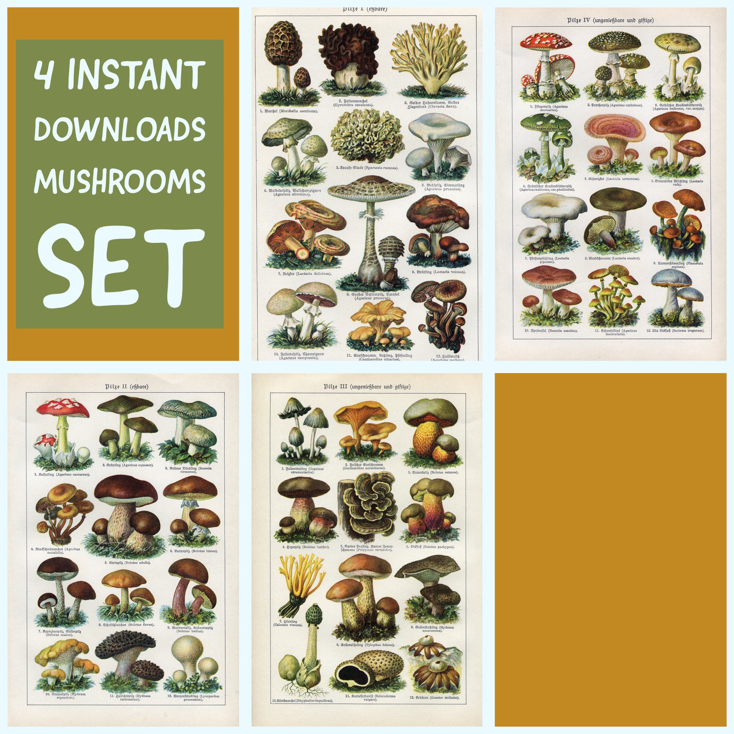 4 INSTANT DOWNLOADS Mushroom Prints Poisonous and Edible Botanical ...