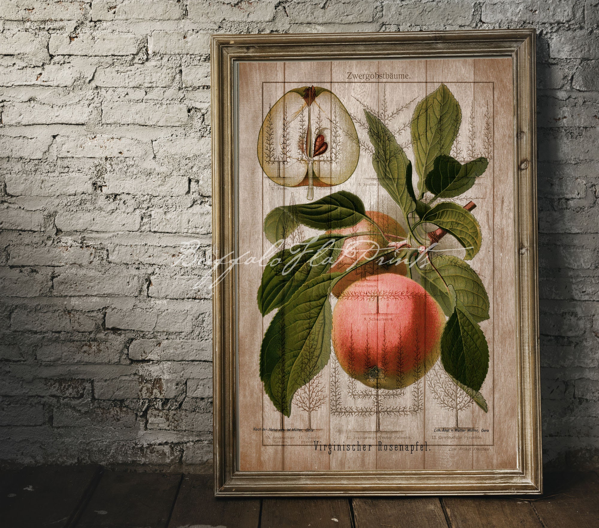 INSTANT DOWNLOAD Apples Apple Art Print on Espalier Texture - Etsy
