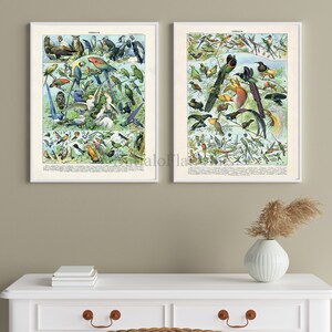 INSTANT DOWNLOAD Birds of the World Exotic Birds 2 Print Set ...